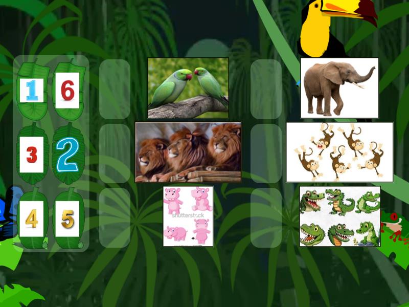 HOW MANY ZOO ANIMALS ARE THERE? - Match up