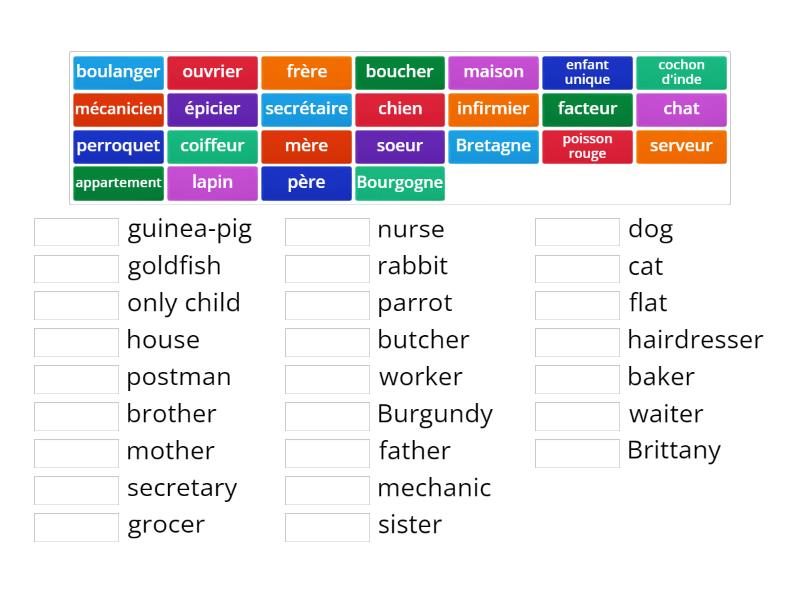 vocabulary - Match up