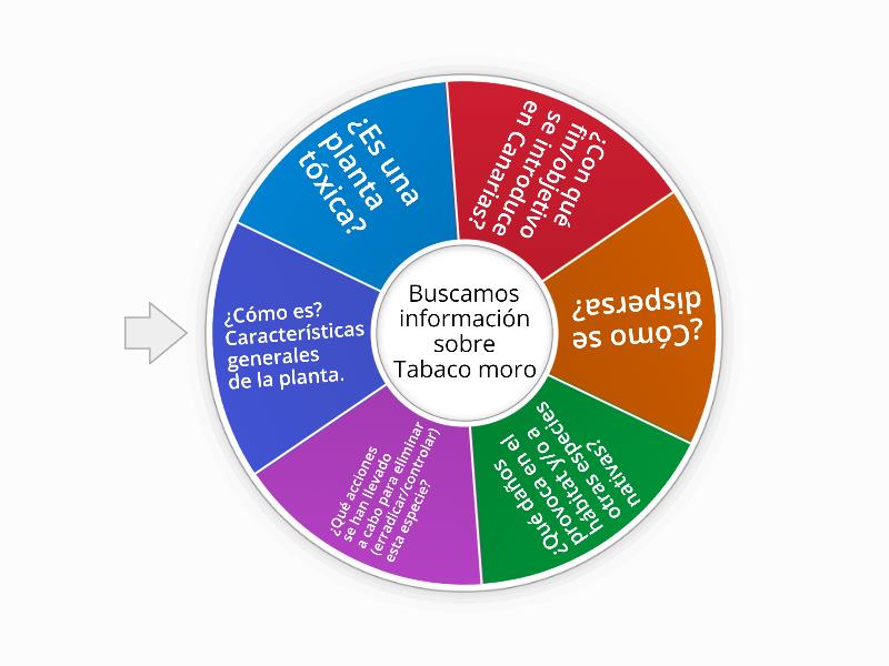 ¡Conocemos a nuestra EEI! - Spin the wheel