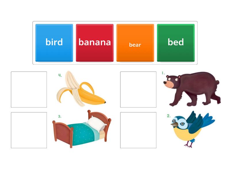 The Letter Bb - Match up