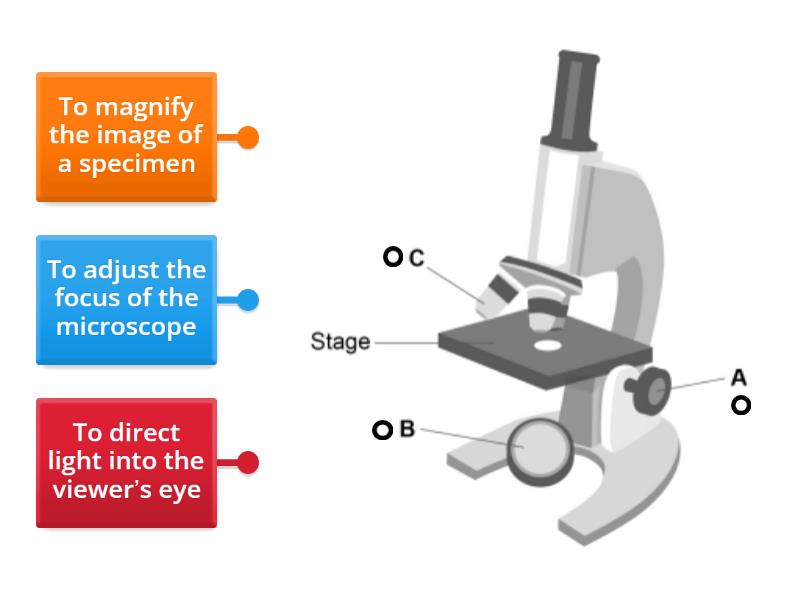 Functions of parts of the microscope - Labelled diagram