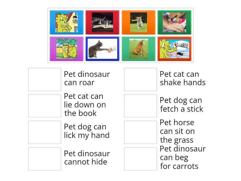 B - my pet dinosaur RAZ - Match up