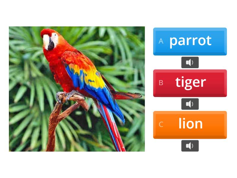 Zoo animals - Quiz