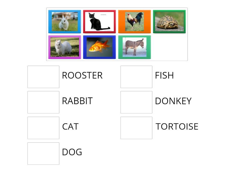 MACH FARM ANIMALS - Match up