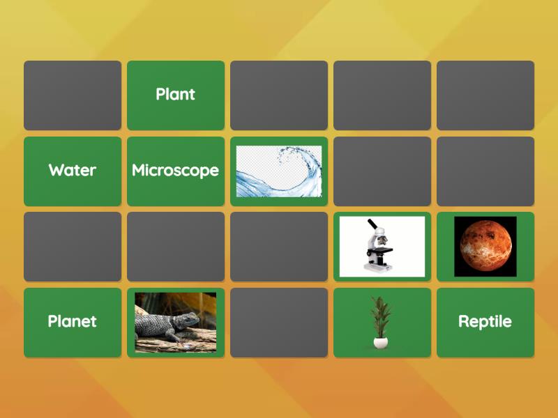 Science - Matching pairs
