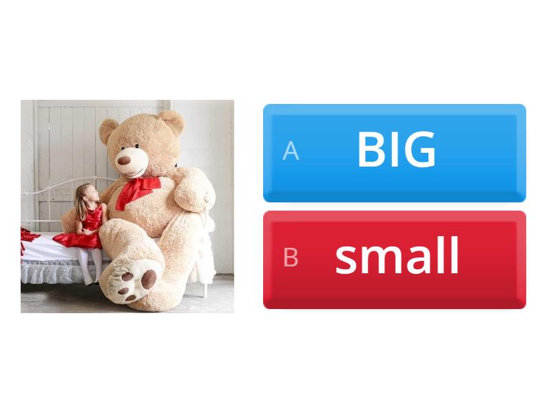 BIG X SMALL - 1ST GRADE - Questionário