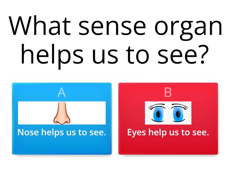 SENSE ORGANS READING - Quiz