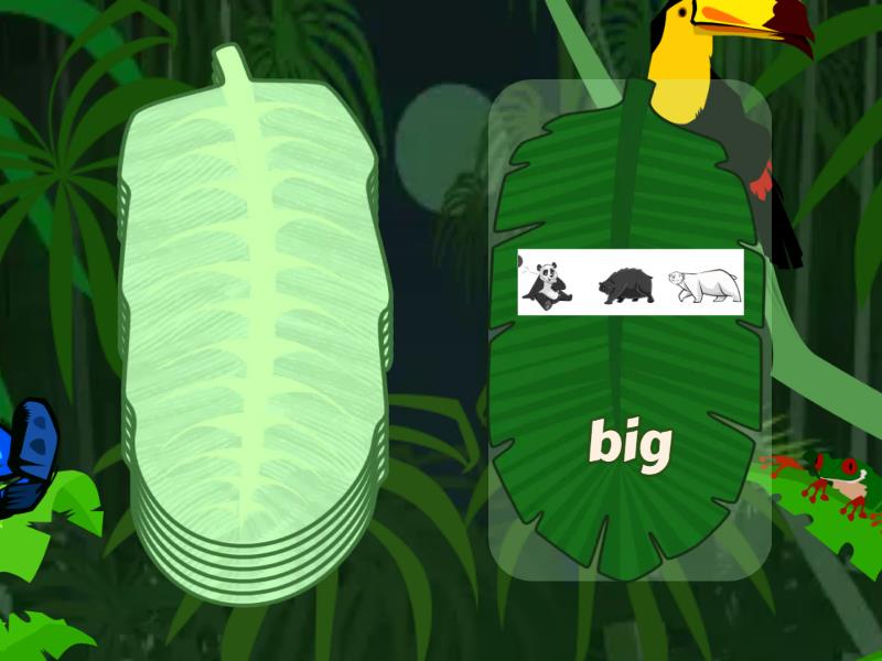 Power Up 2. Unit 5. Revision: Superlative. - Cartas al azar