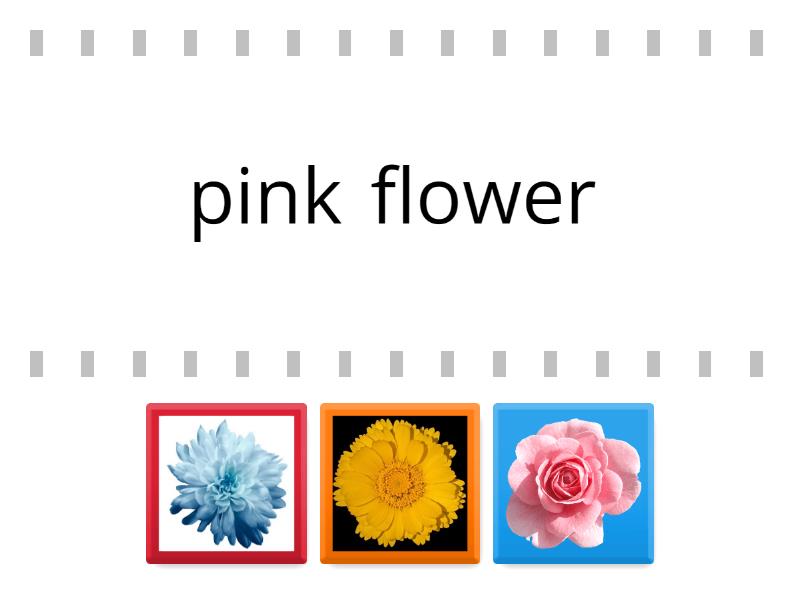 Match the flower - Find the match