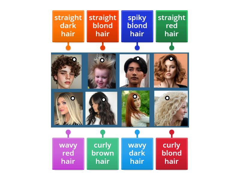 hair types - Labelled diagram