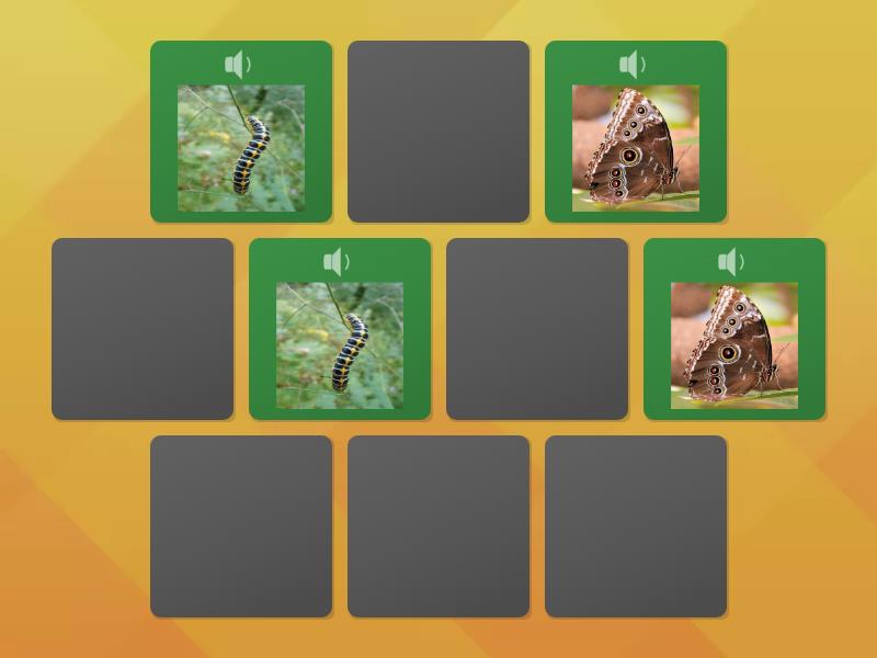 We Have Got Spots - 1 - Matching pairs