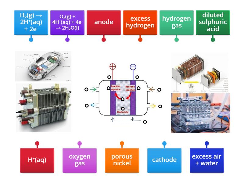 Fuel cell (Acidic) - Labelled diagram