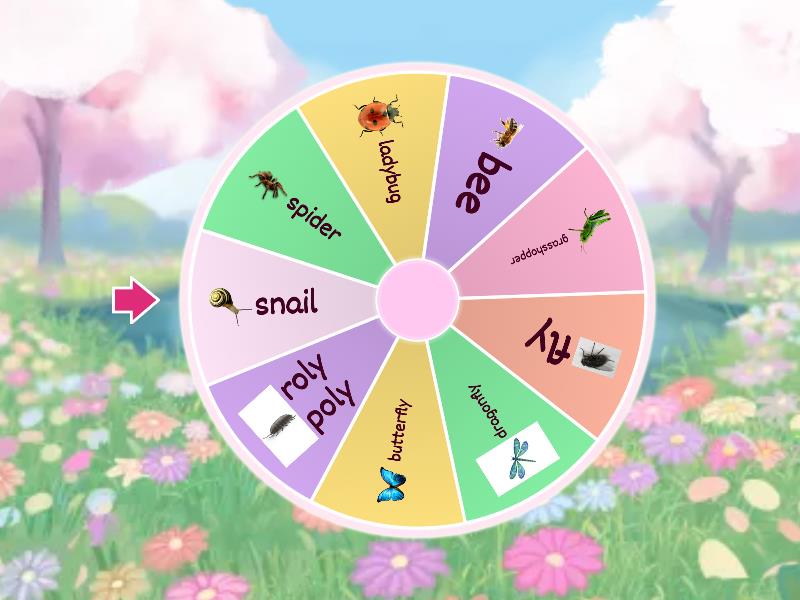 Bugs Vocabulary - Spin the wheel
