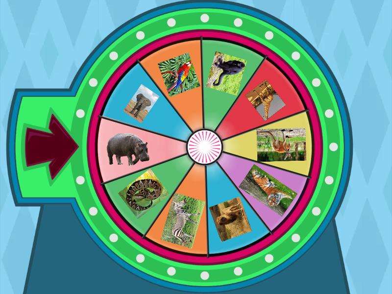 animals - Spin the wheel