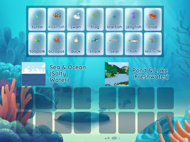 Aquatic Animals - Group sort