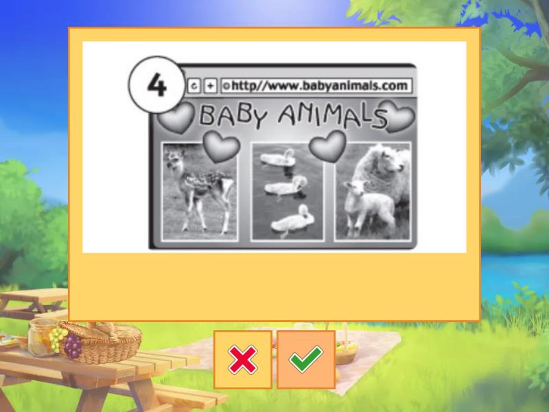 FF4 Unit 10 Skills time - Flash cards