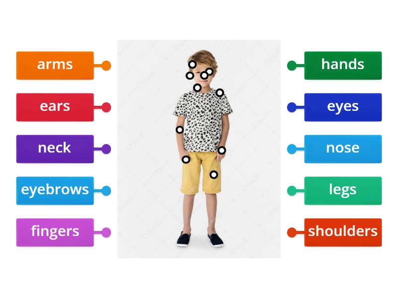 My Body poster - Labelled diagram