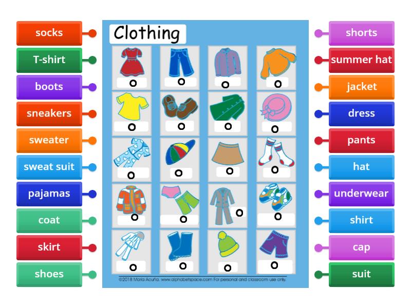 三十四、Clothing - Labelled diagram