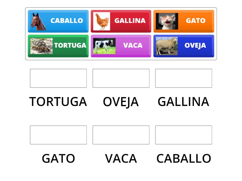 LOS ANIMALES. - Match up