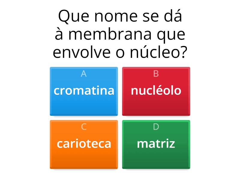 Núcleo e Cromossomos - Quiz