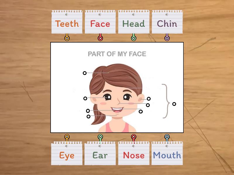 Parts of my face - Labelled diagram