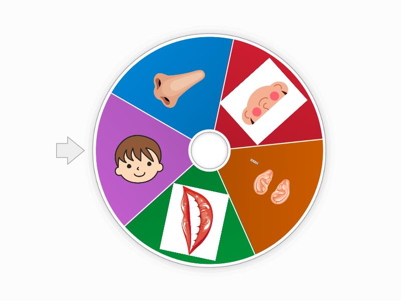 social skills 1 face parts - Spin the wheel