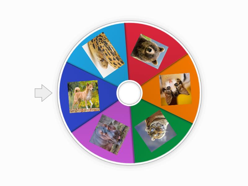 Animals can/can't - Spin the wheel