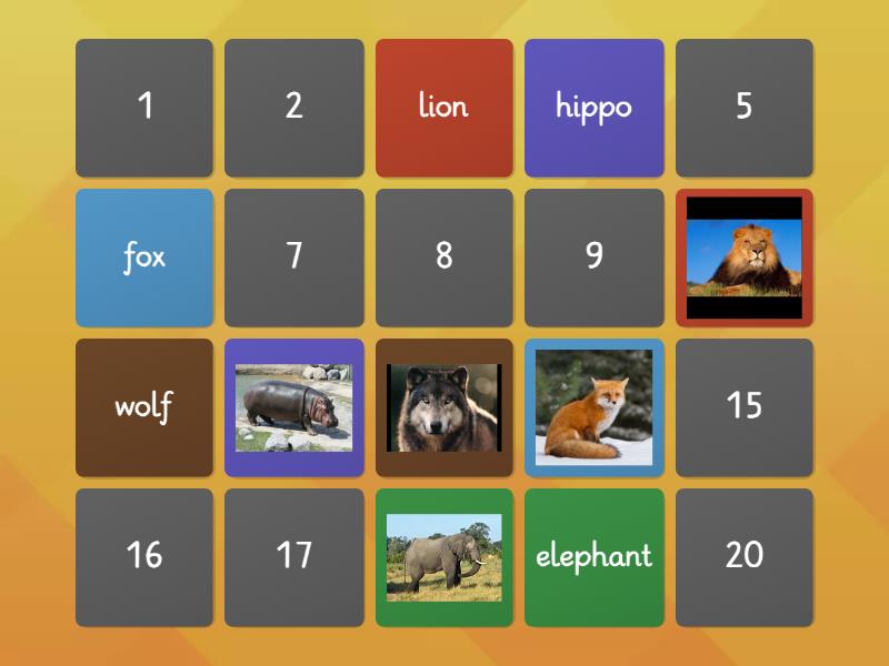 IB Animals - Matching pairs