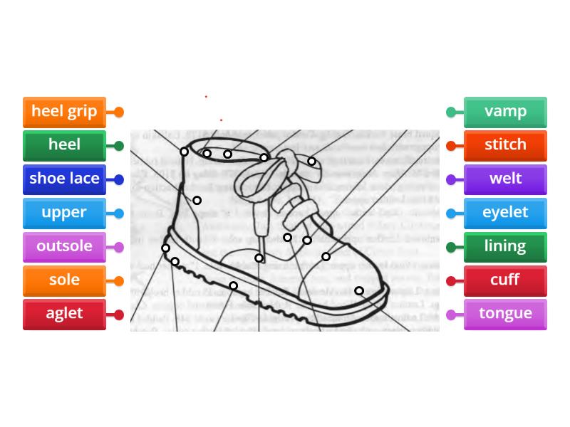 shoe - Labelled diagram