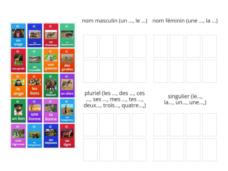 le genre masculin ou féminin et le nombre singulier ou pluriel - Group sort