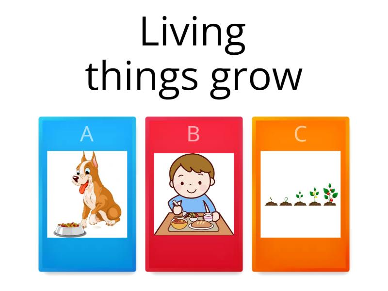 Living things - Cuestionario