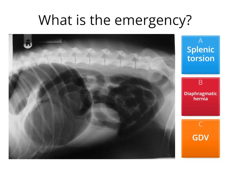 Pub - round 2 - Quiz