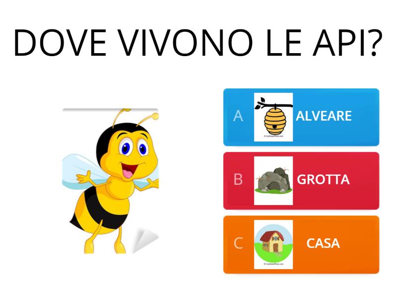 IL MONDO DELLE API - Quiz