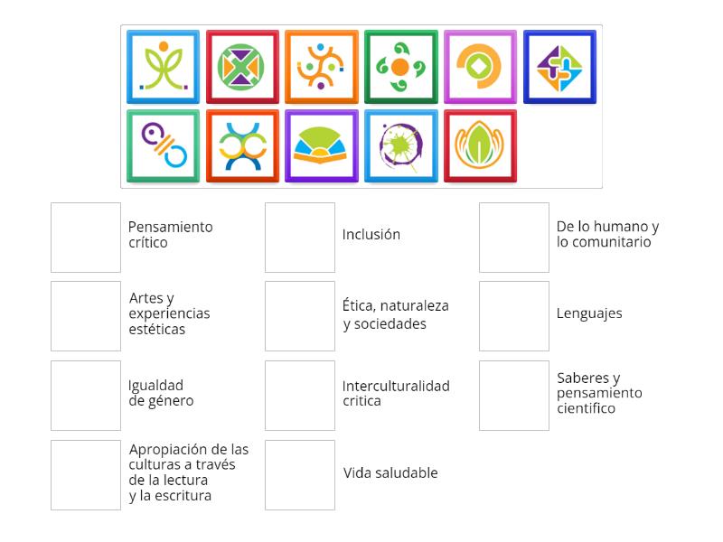 Usaer Campos Formativos Y Ejes Articuladores Match Up