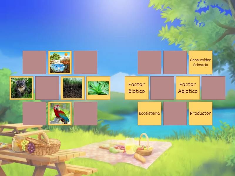 Interelaciones en un ecosistema - Matching pairs