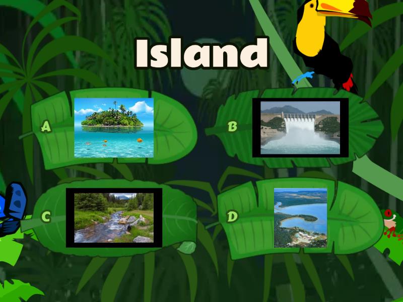 Nature - Quiz