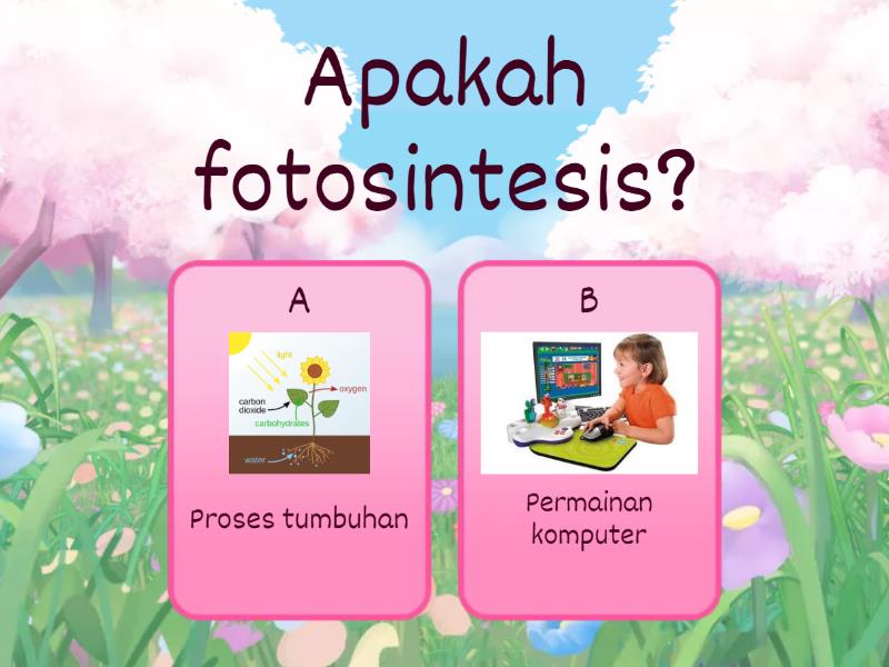 Fotosintesis untuk Si Kecil - Cuestionario