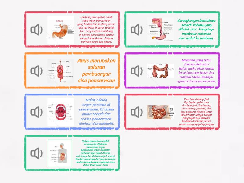 SISTEM PENCERNAAN MANUSIA Kelas 5 SD - Flip tiles