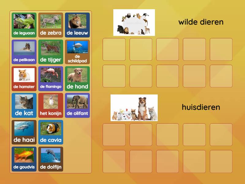 J&J 17 | Wat hoort waar? | soorten dieren - Group sort