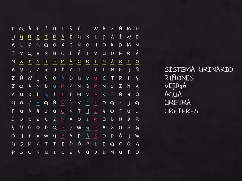 Sistema Urinario. - Sopa de letras