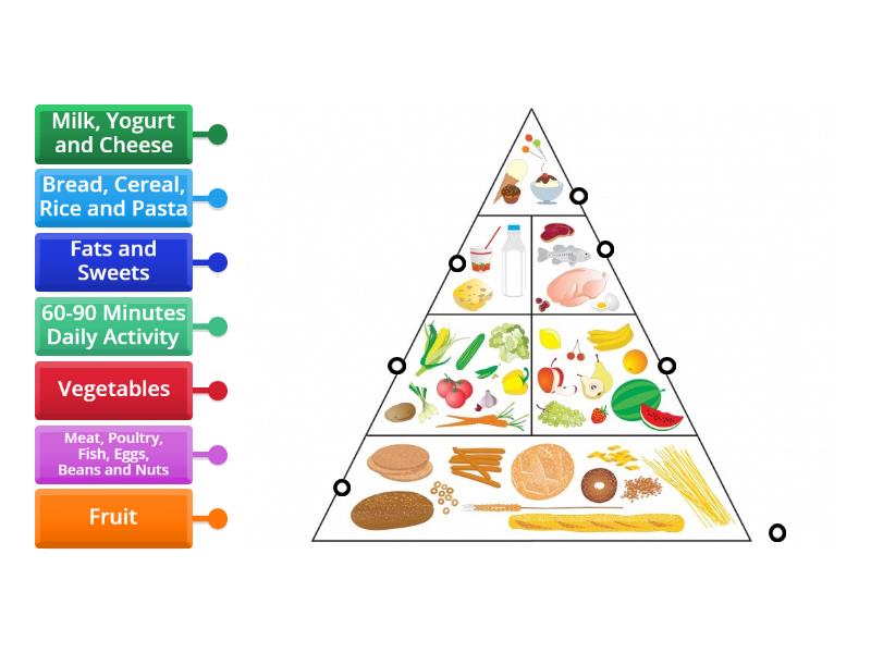 Food Pyramid - Labelled diagram