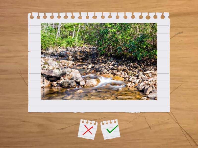 Roadmap A2+ 7B natural features collocations - Flash cards