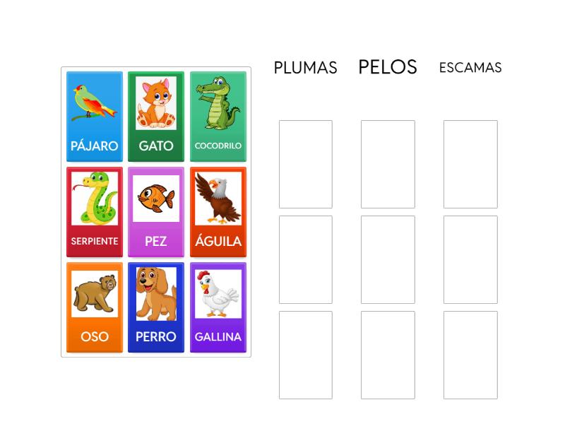Ejemplar de Animales... ¿con plumas, pelos, escamas? - Group sort