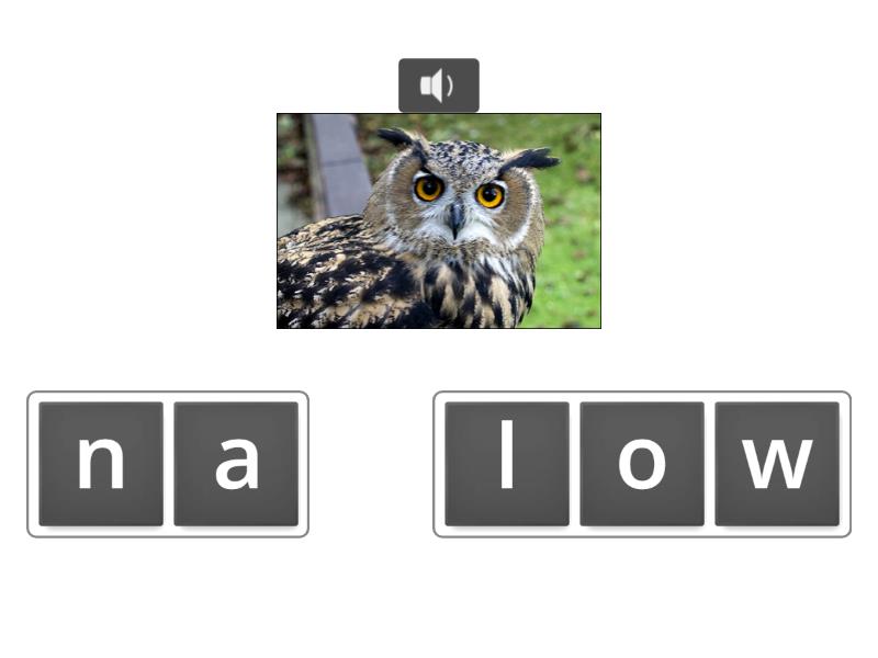 Unit 5, Uncle Phil's pet shop - Anagrama