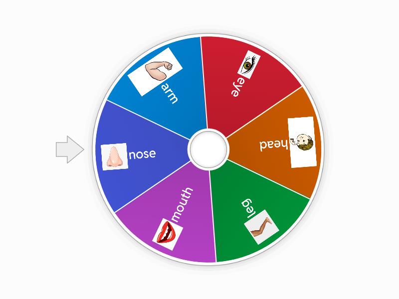 Body Parts - Spin the wheel