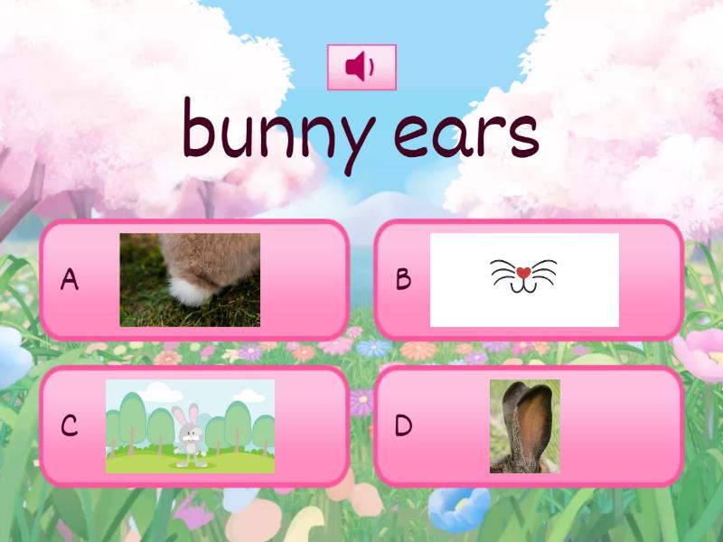The bunny hokey pokey - Quiz