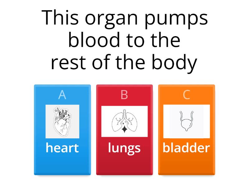 Human body organs - Quiz