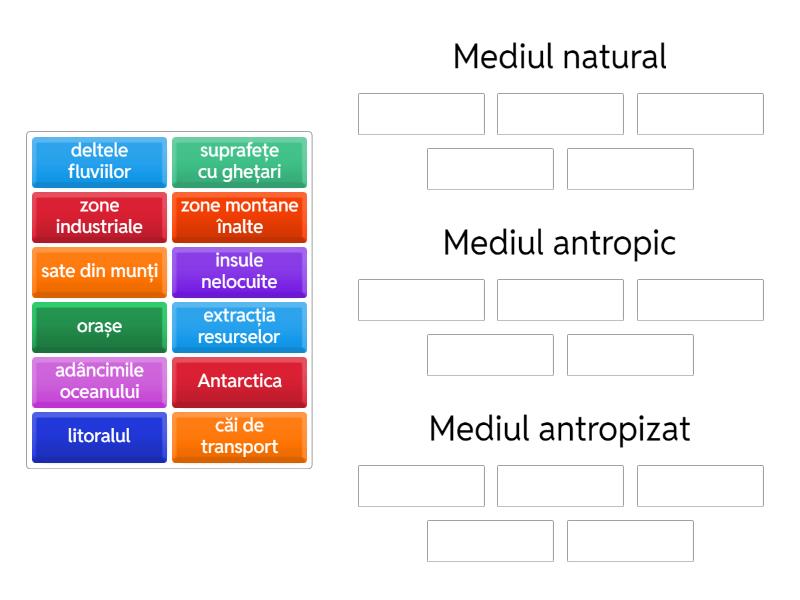 Tipuri de medii geografice - Group sort