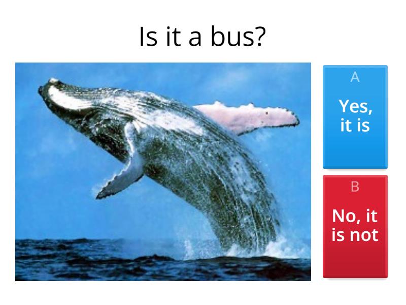 Step 30 - Is it - questions - Quiz