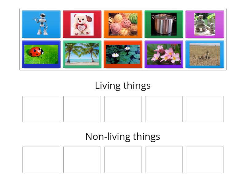 living and non-living things - Group sort